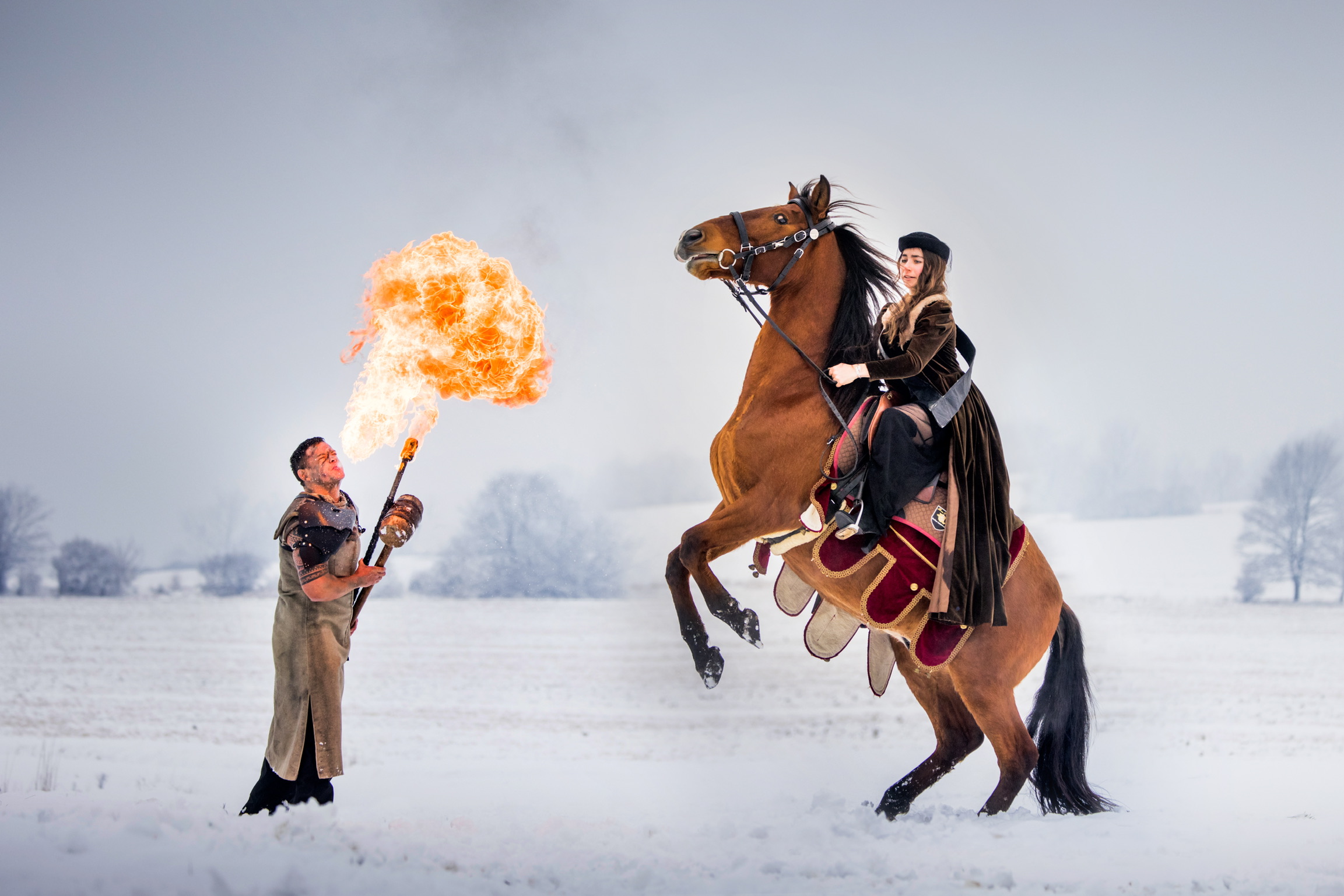 Mitgliederporträt: AWEGO Horses and Stunts - Filmland Sachsen
